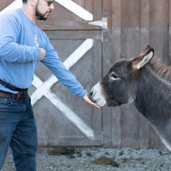 welcome-to-the-ranch